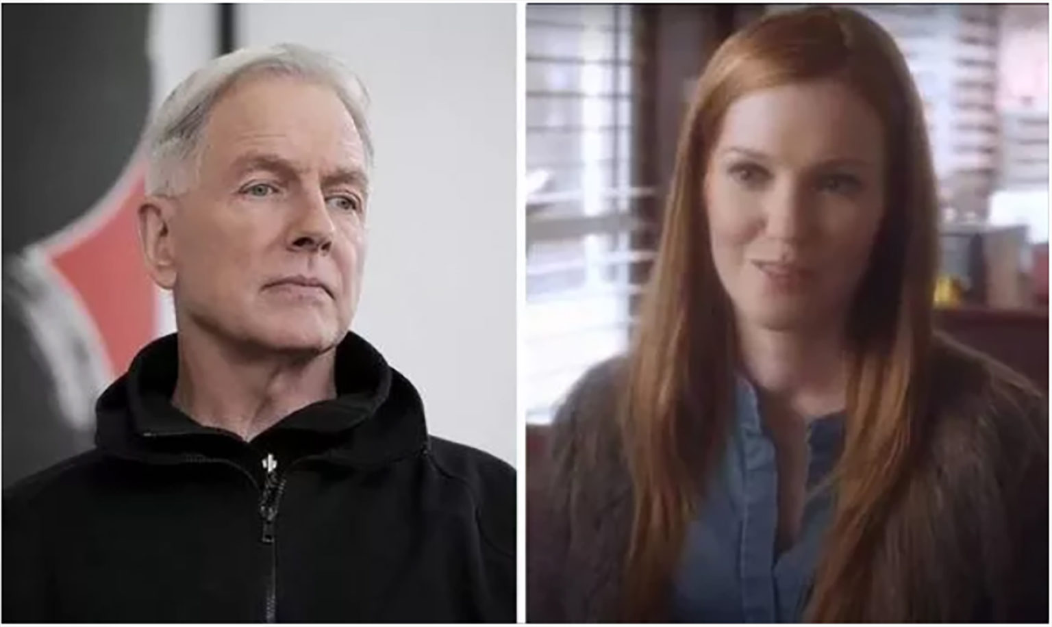 Ncis Who Has Agent Gibbs Been Married To Meet Gibbs Four Ex Wives Curious World